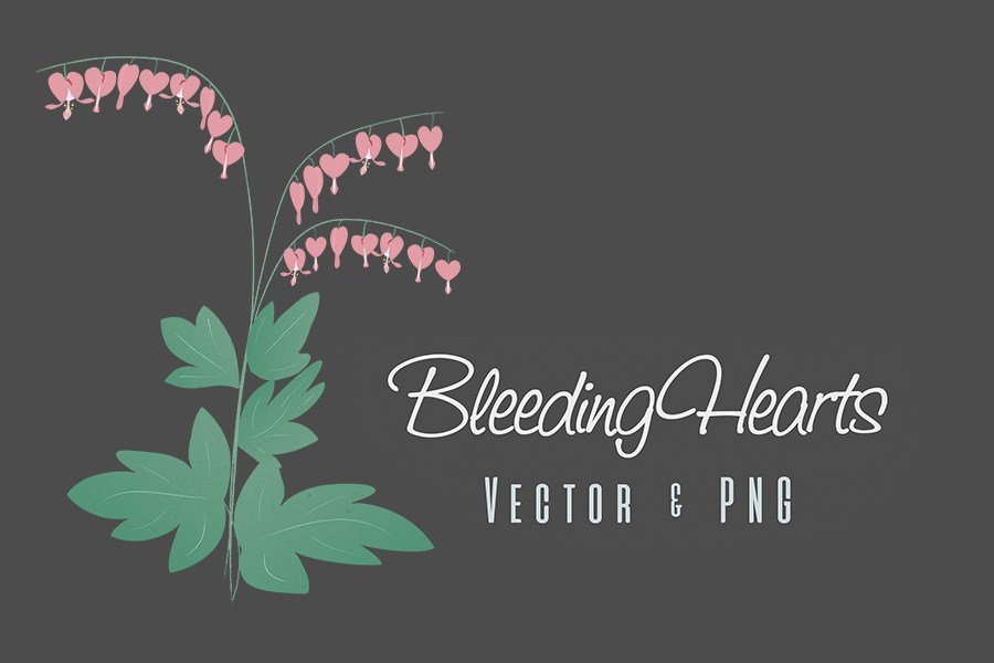 Bleeding Hearts – Free Vector Flowers – Free Design Resources
