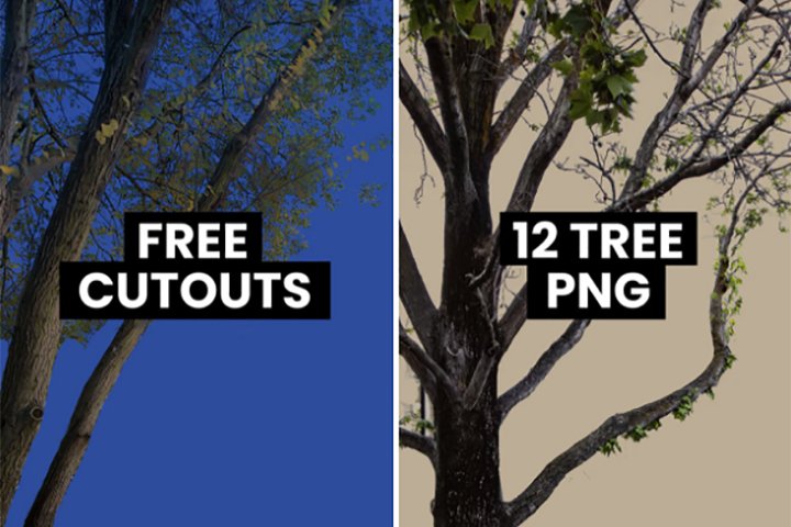 12 Free Tree Cutouts – Free Design Resources